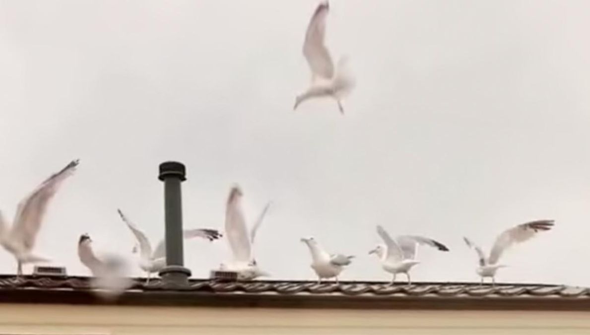 Жінка помстилася галасливим сусідам які не давали їй спати відео 